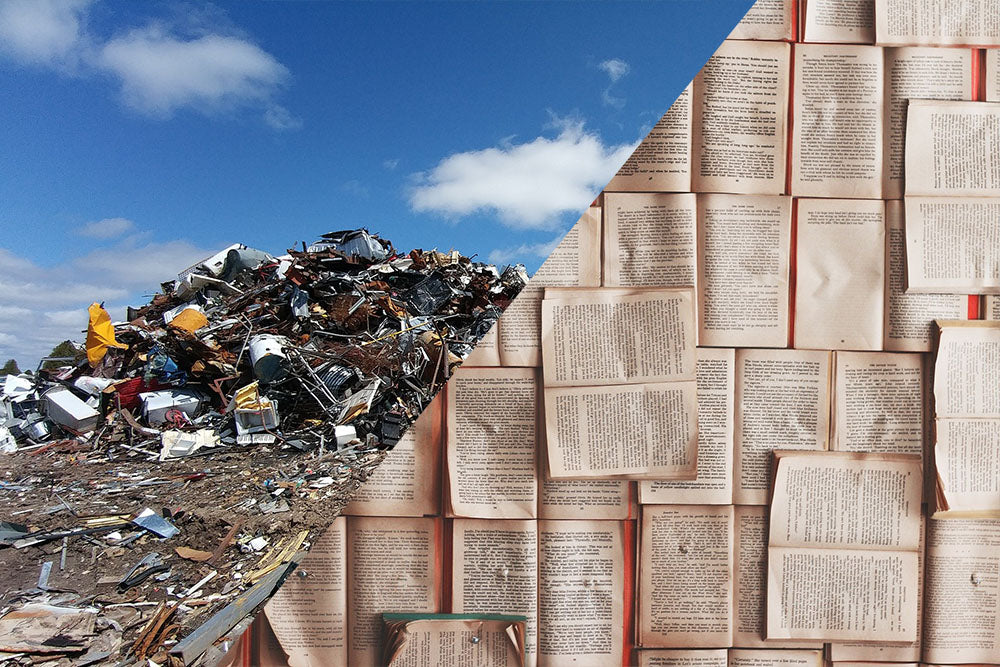 Which is Better for the Environment? Paper or Plastic? | Panaprium