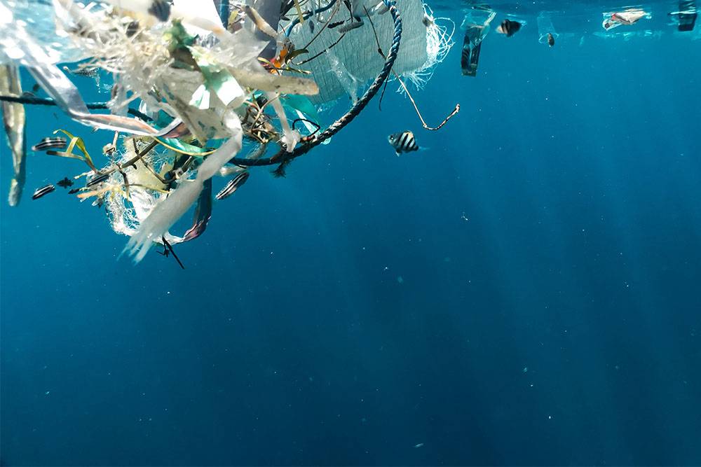 The Truth About Fast Fashion Polluting Our Water | Panaprium