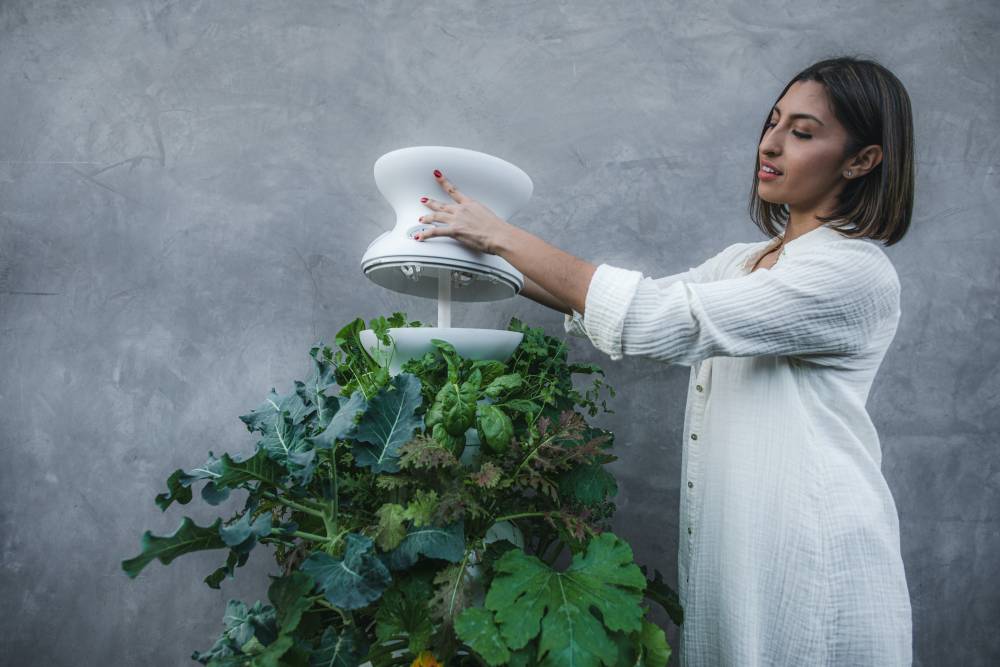 Why is Linen so Popular? | Panaprium